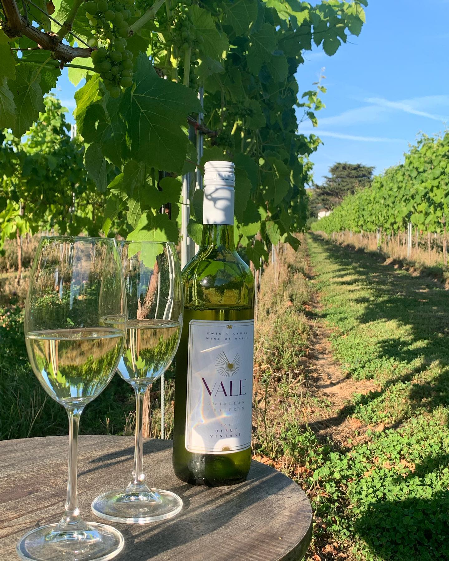 Uncovering secrets and stories in North East Wales